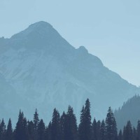 CSUF MSIDT Portfolio – Learning Brains Design